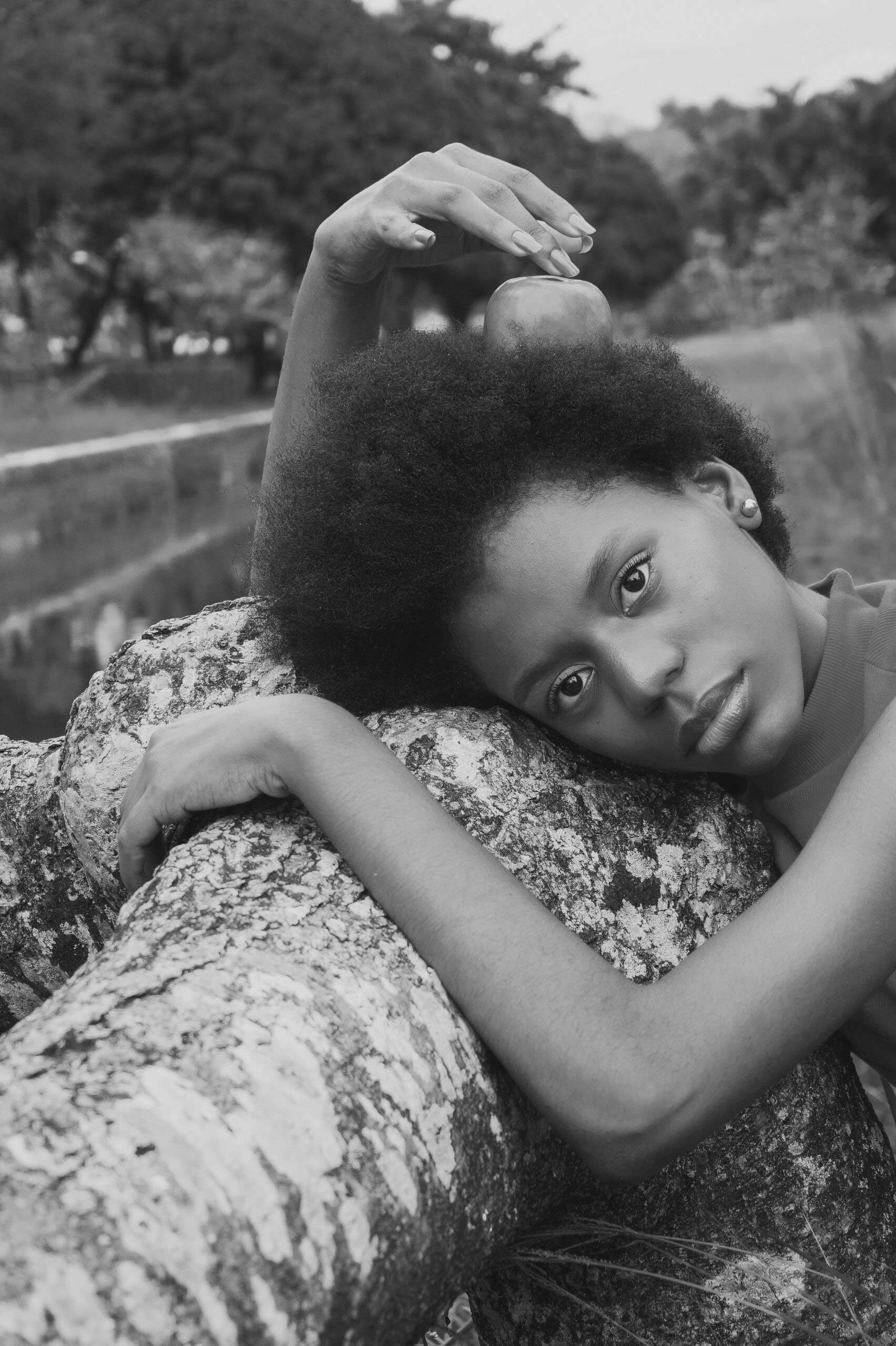 v1 - Royal Elementor Addons